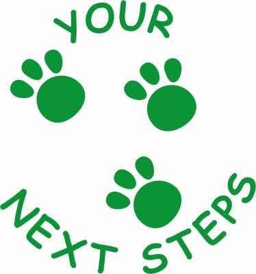 Teacher Marking Stamp Your Next Steps | Stamps4u.co.uk